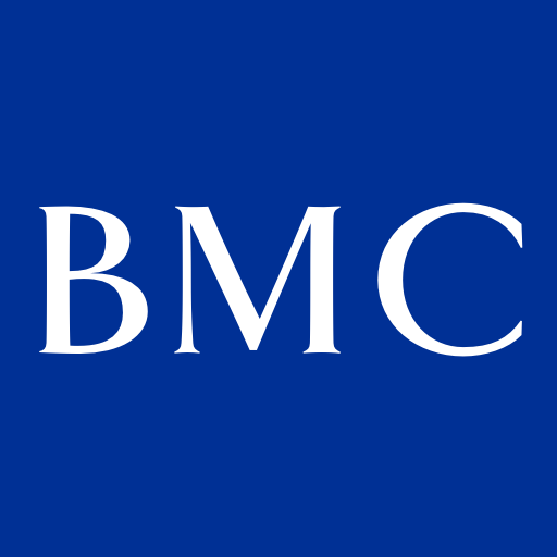 About - Blue Mahoe Capital Inc.