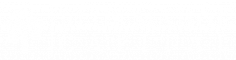 Jamaica Diaspora Bond - Blue Mahoe Capital Inc.