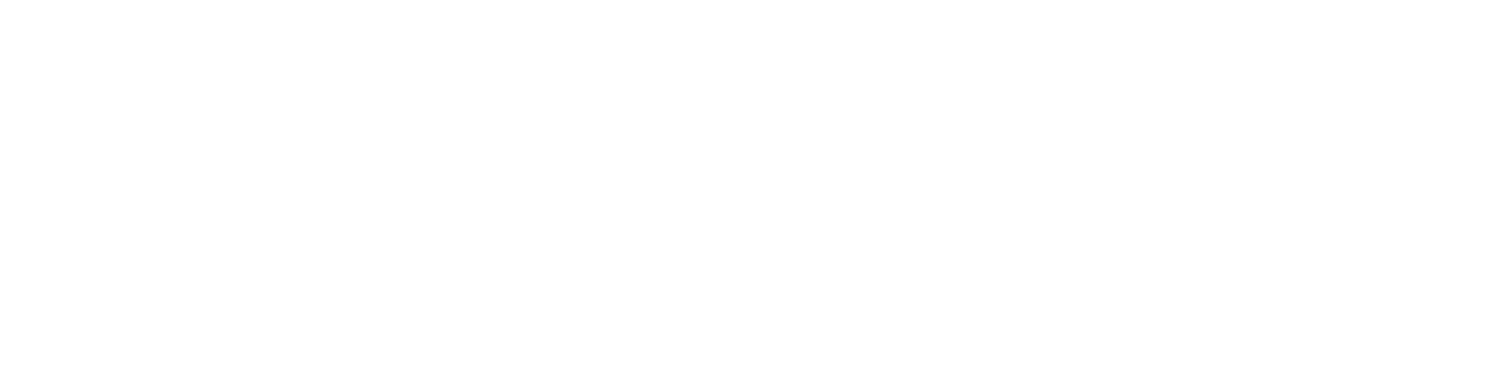 Home - Blue Mahoe Capital Inc.