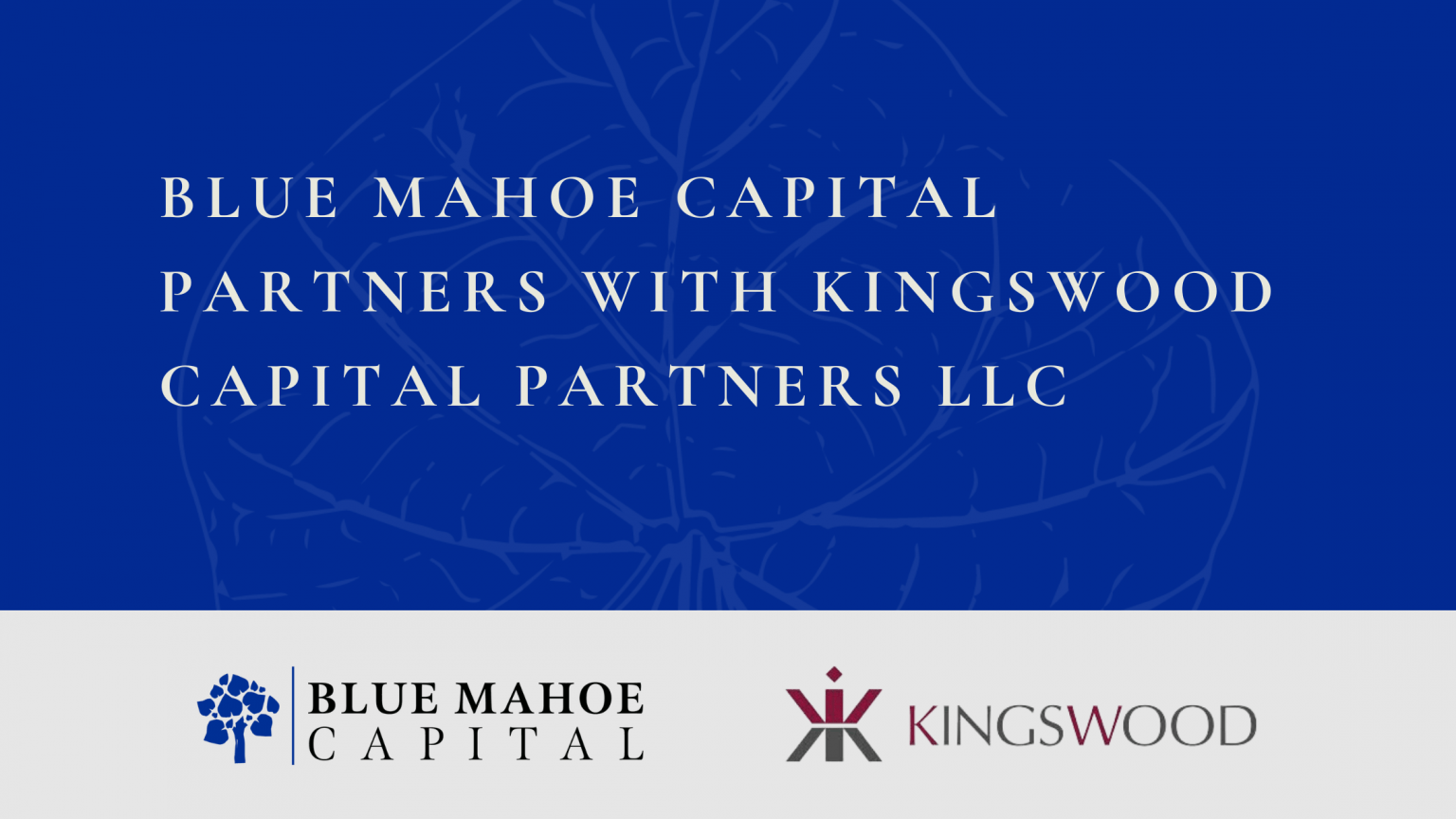 Home - Blue Mahoe Capital Inc.