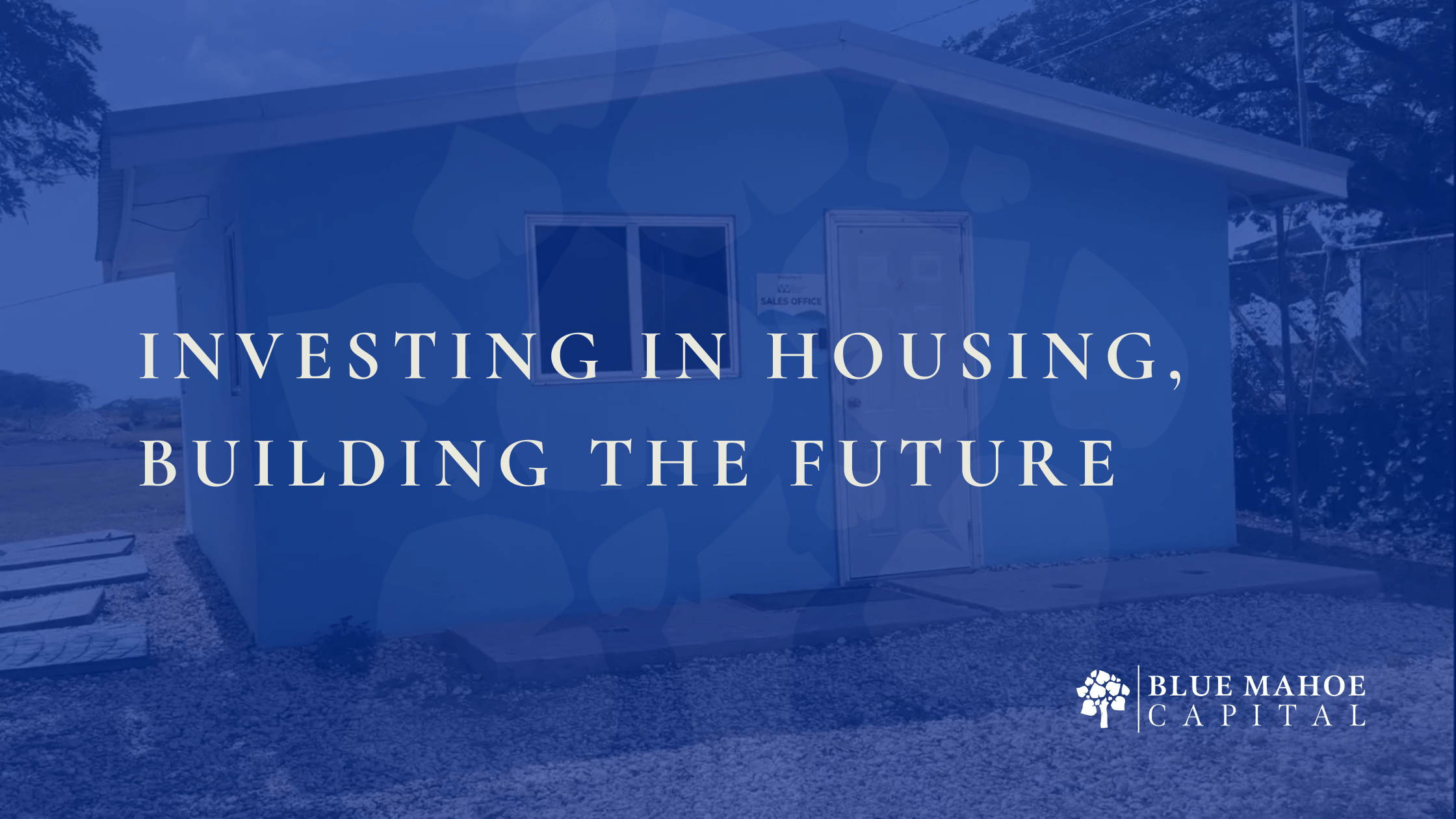 Investing in Housing, Building the Future - Blue Mahoe Capital Inc.