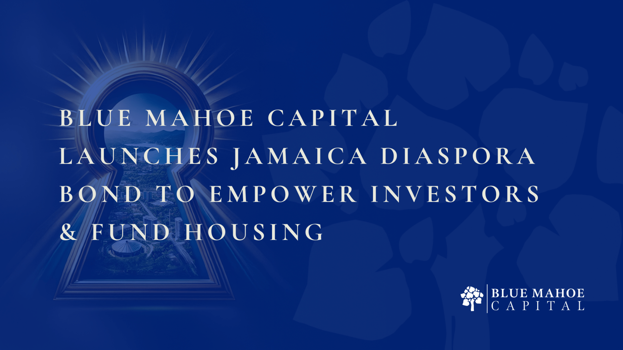 Home - Blue Mahoe Capital Inc.