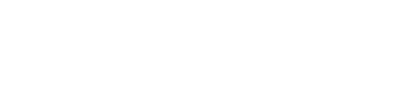 Home - Blue Mahoe Capital Inc.